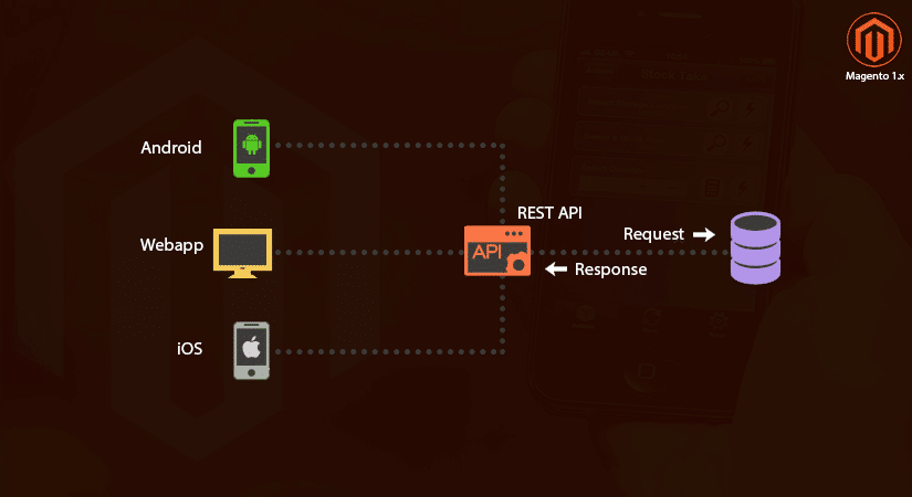 How To Build Custom Magento Rest Api Effortlessly In Less Than 2 Hours Part 1 Pragma Apps
